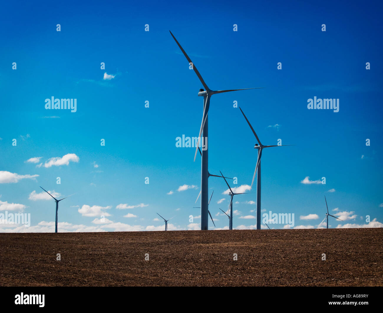 Schini hi-res stock photography and images - Alamy
