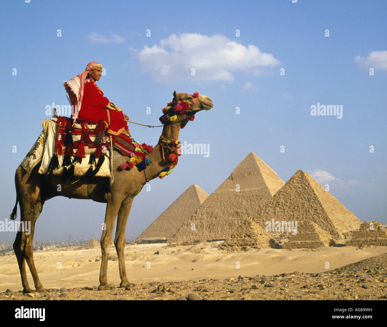 Guide in front of Pyramids Giza Cairo Egypt North Africa Stock Photo ...