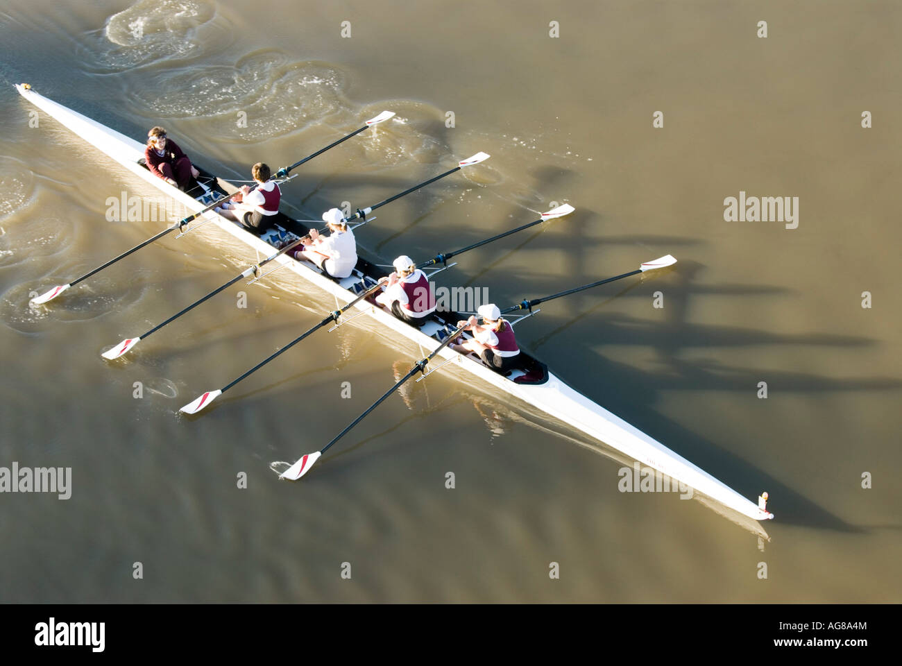 Rowing on the Brisbane River Brisbane Queensland Australia Stock Photo ...