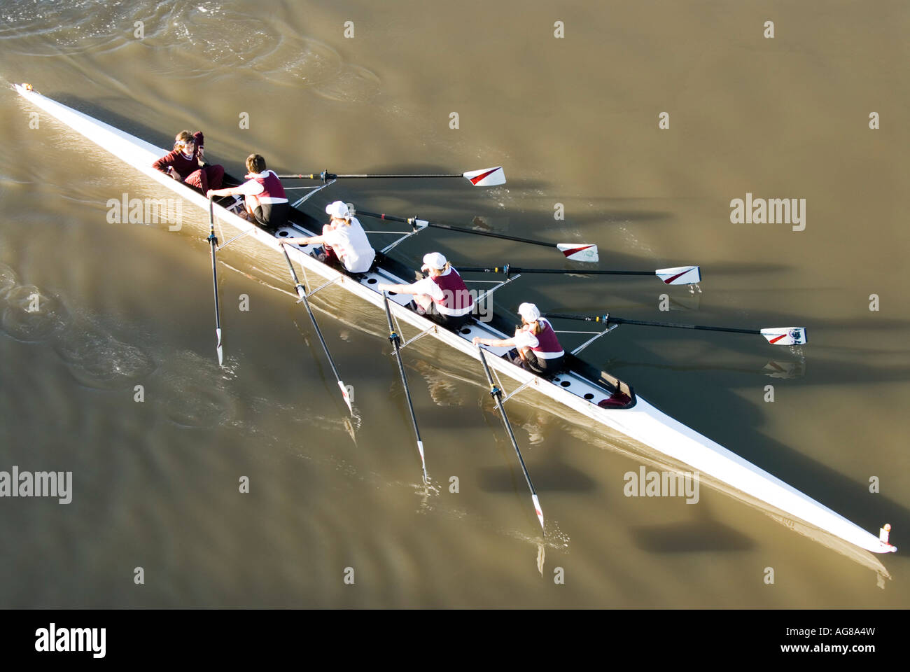 Rowing on brisbane river brisbane hi-res stock photography and images ...