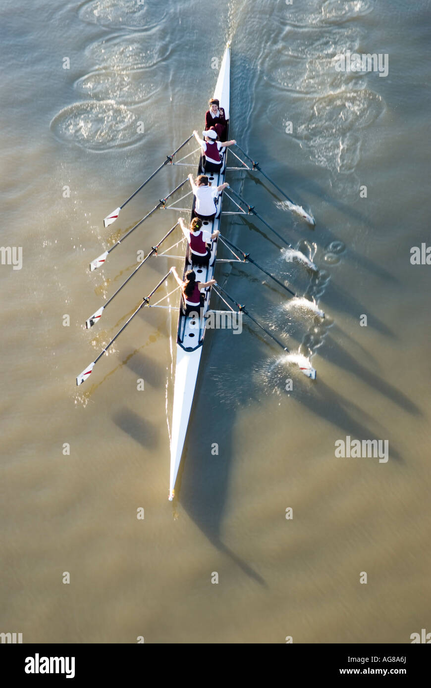 Rowing on the Brisbane River Brisbane Queensland Australia Stock Photo ...