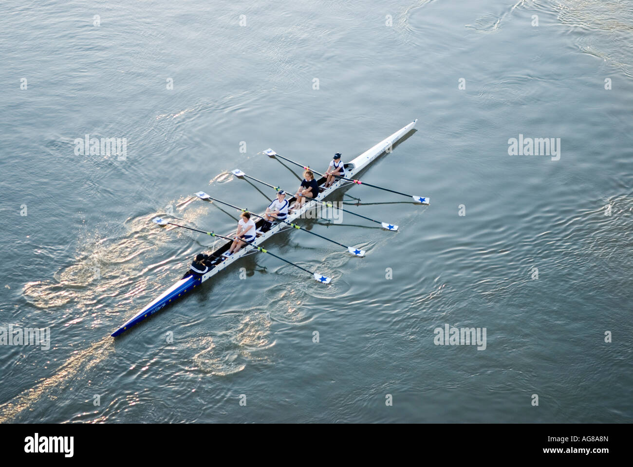 Brisbane river rowing hi-res stock photography and images - Alamy