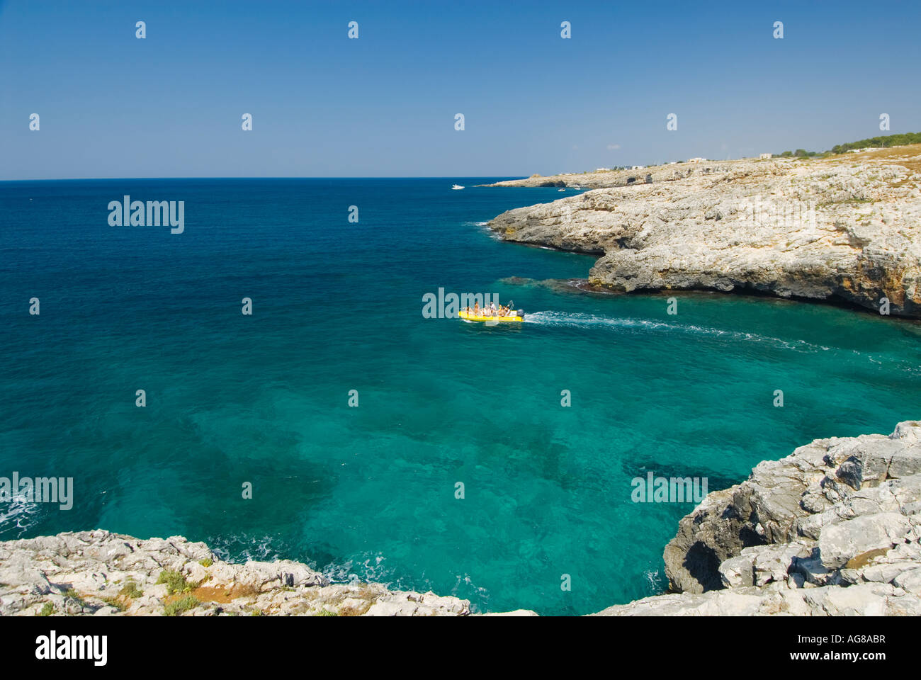 Foca Stock Photos & Foca Stock Images - Alamy