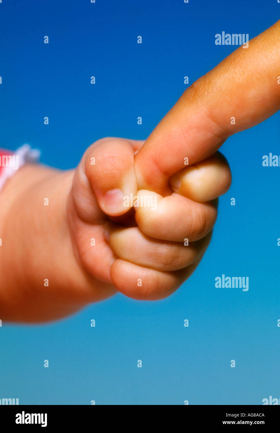 Infant holds finger Stock Photo - Alamy