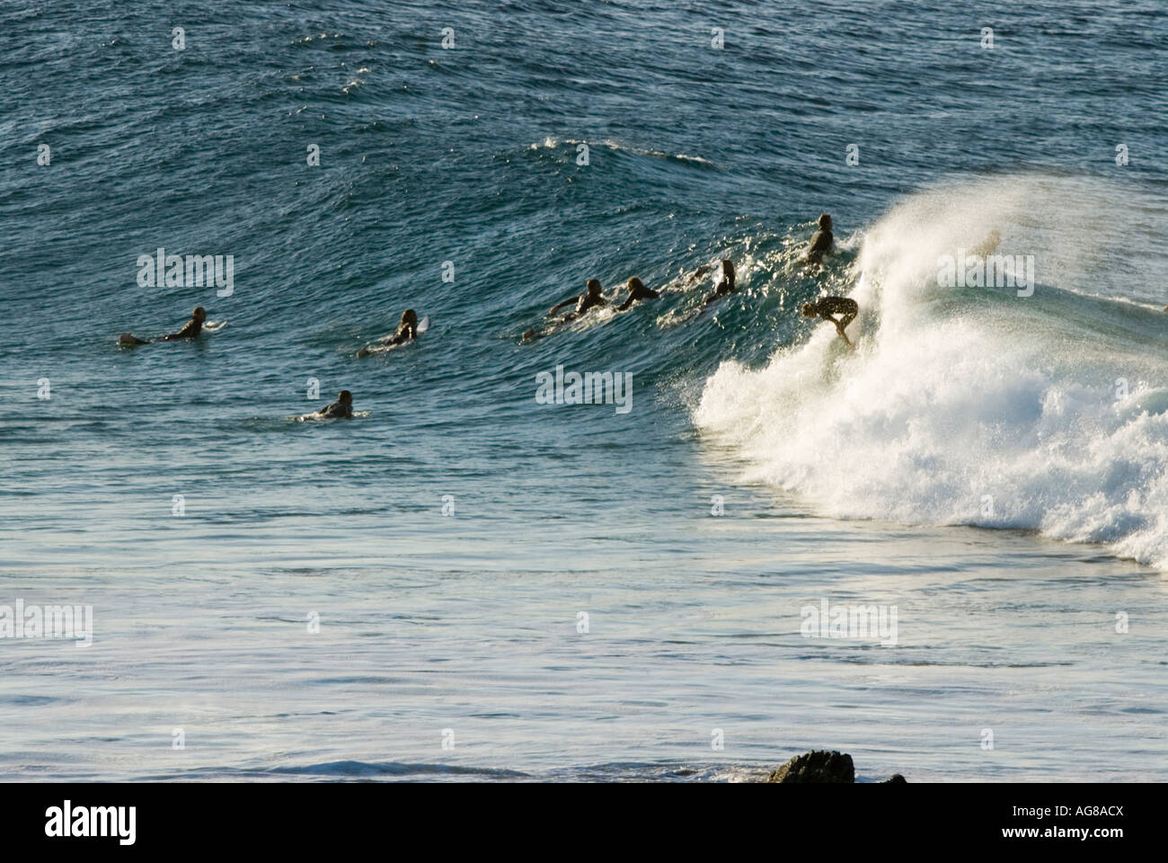Surfing snapper rocks known superbank hi-res stock photography and ...