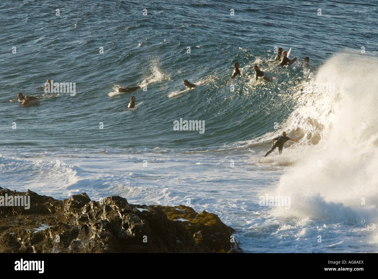 Surfing snapper rocks known superbank hi-res stock photography and ...