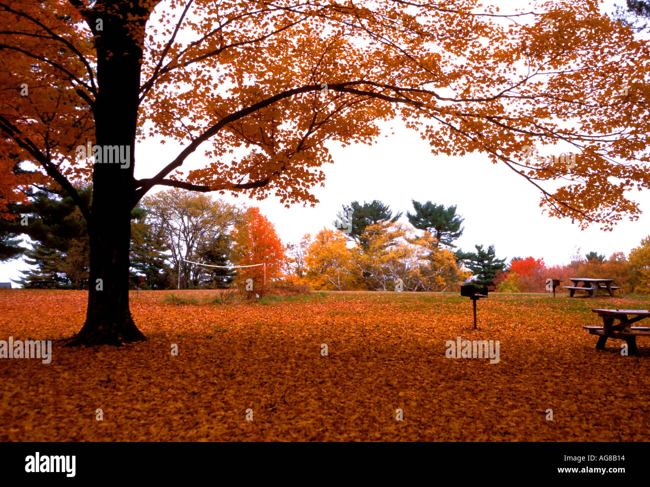 Park in fall Stock Photo - Alamy