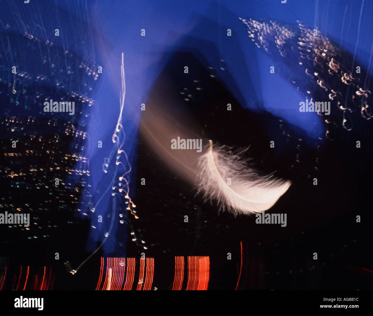 Feather in a city Stock Photo - Alamy
