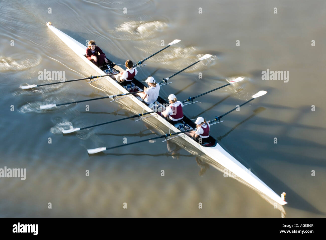 Rowing on brisbane river brisbane hi-res stock photography and images ...