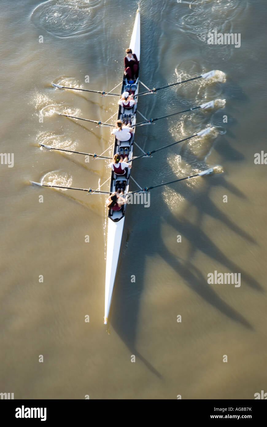 Rowing on brisbane river brisbane hi-res stock photography and images ...