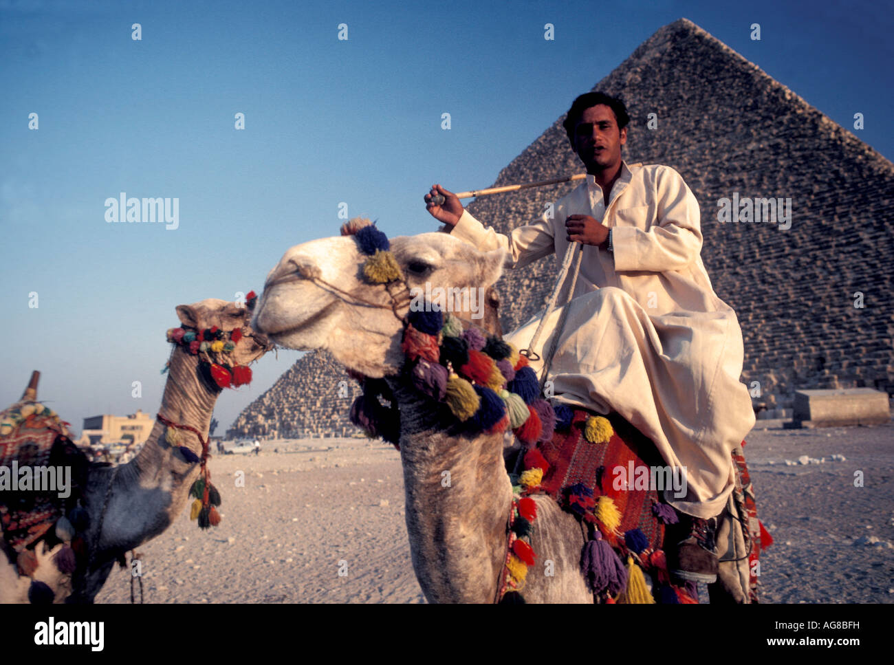 Egypt great pyramid khufu cheops at Giza Egypt Egyptian man riding ...