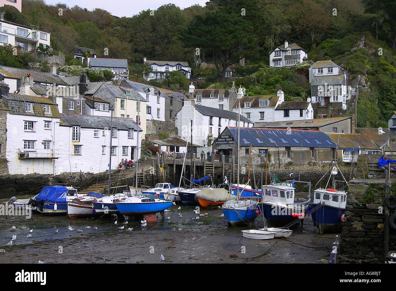 Polperro Harbour Cornwall England Stock Photo - Alamy