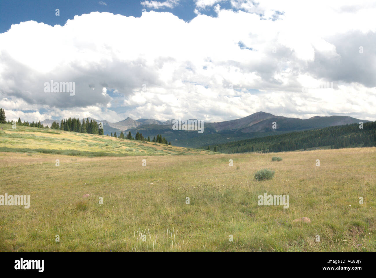 Shrine Pass near Vail Colorado looking toward Ten Mile Mountain Range ...