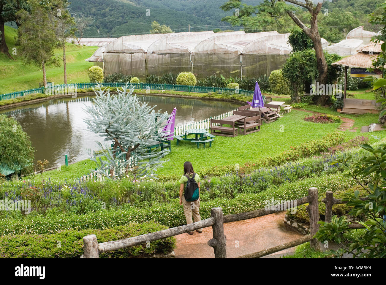 Thailand Chiang Mai Province Inthanon Royal Project Research Station ...