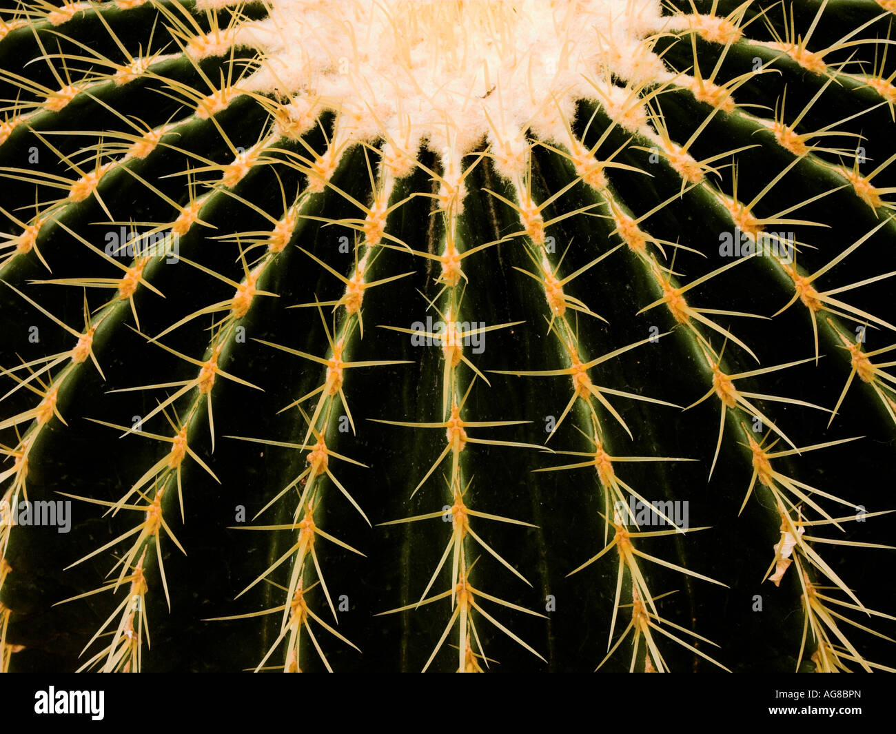 Sharp point hi-res stock photography and images - Alamy