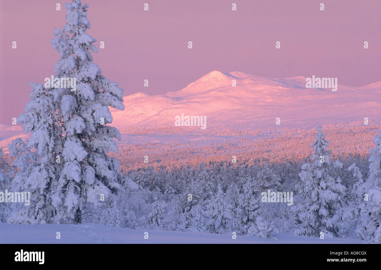 Mount Storslåga at sunrise, Norway Stock Photo - Alamy