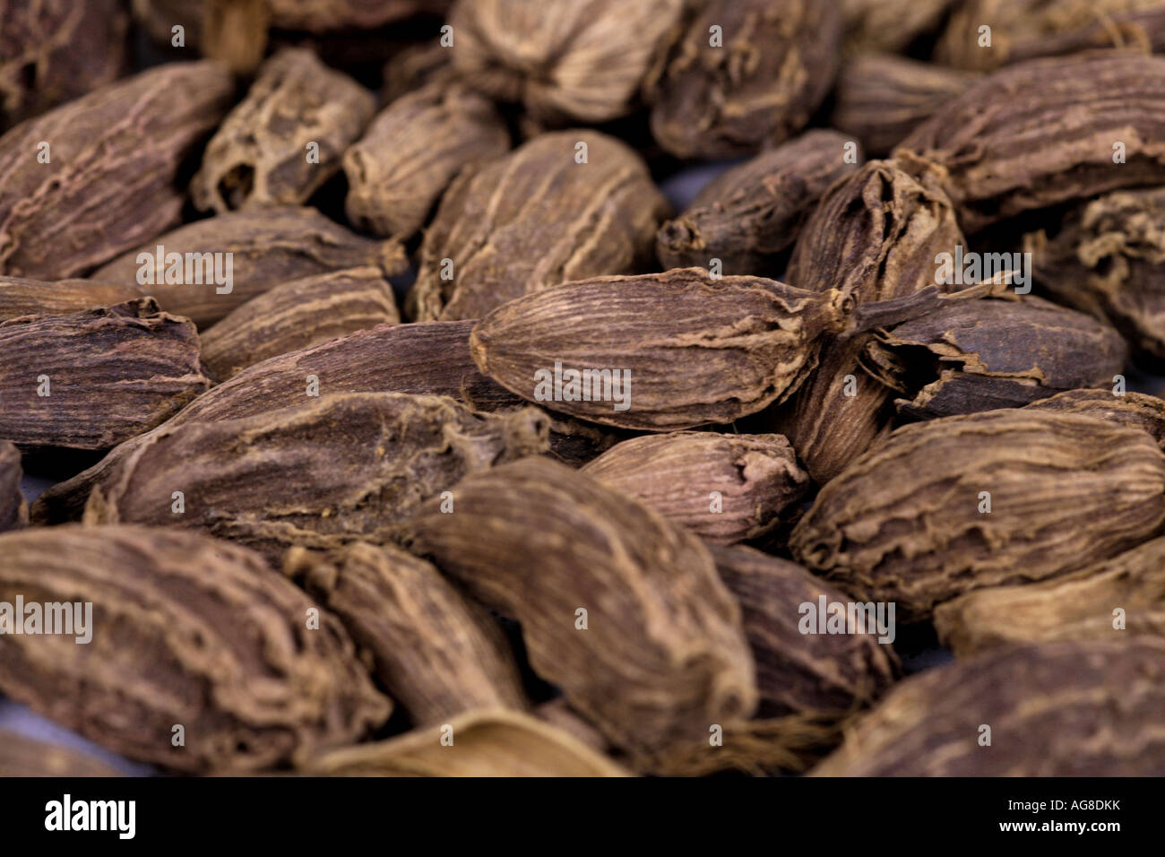 cardamon, bengal cardamoms (Amomum subulatum), capsules Stock Photo - Alamy