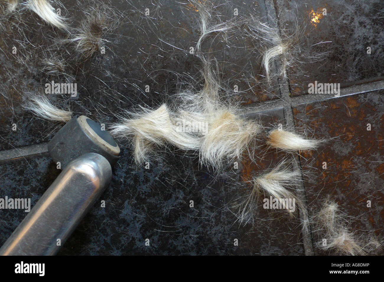cutted hair at the barbershop Stock Photo - Alamy