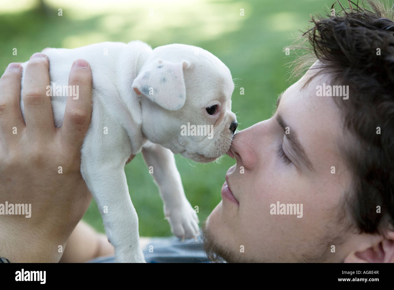 Young man holding French bulldog puppy up to face Stock Photo - Alamy