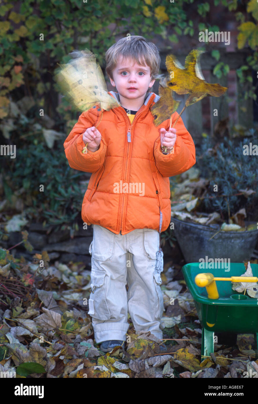 Leaves waving hi-res stock photography and images - Alamy