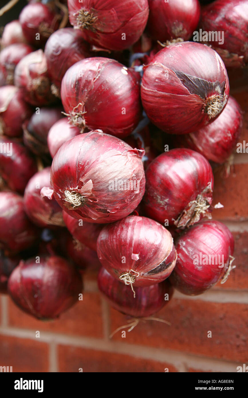 Strings of onions hi-res stock photography and images - Alamy