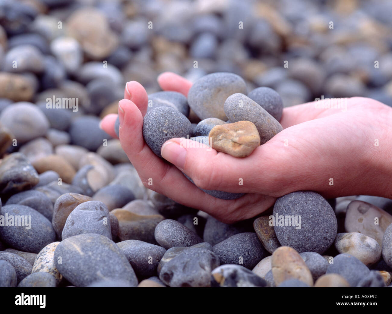 person woman holding pebbles in palm of her hand Stock Photo - Alamy
