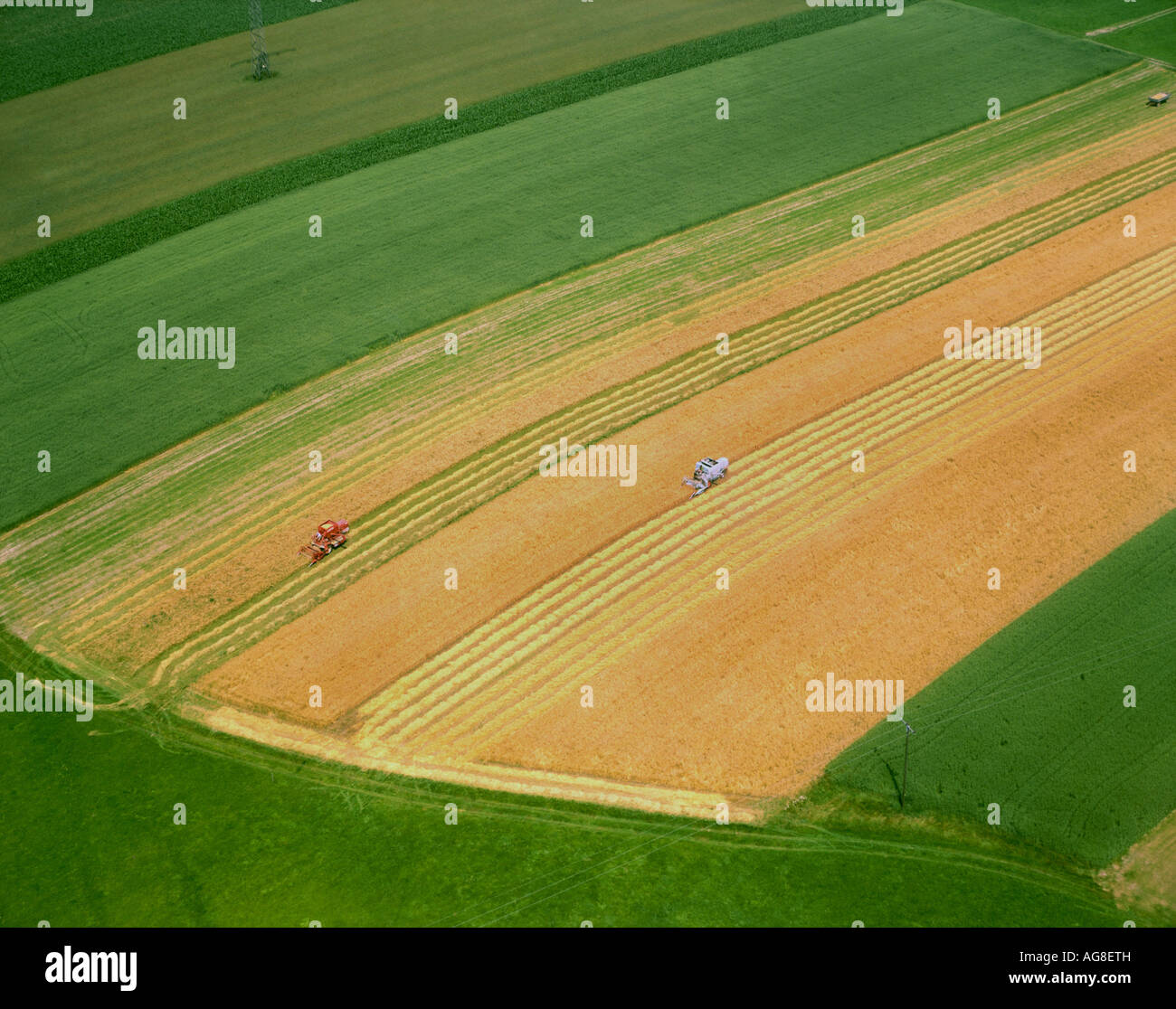 working combine harvesters, Germany, Bavaria, Oberbayern, Upper Bavaria ...