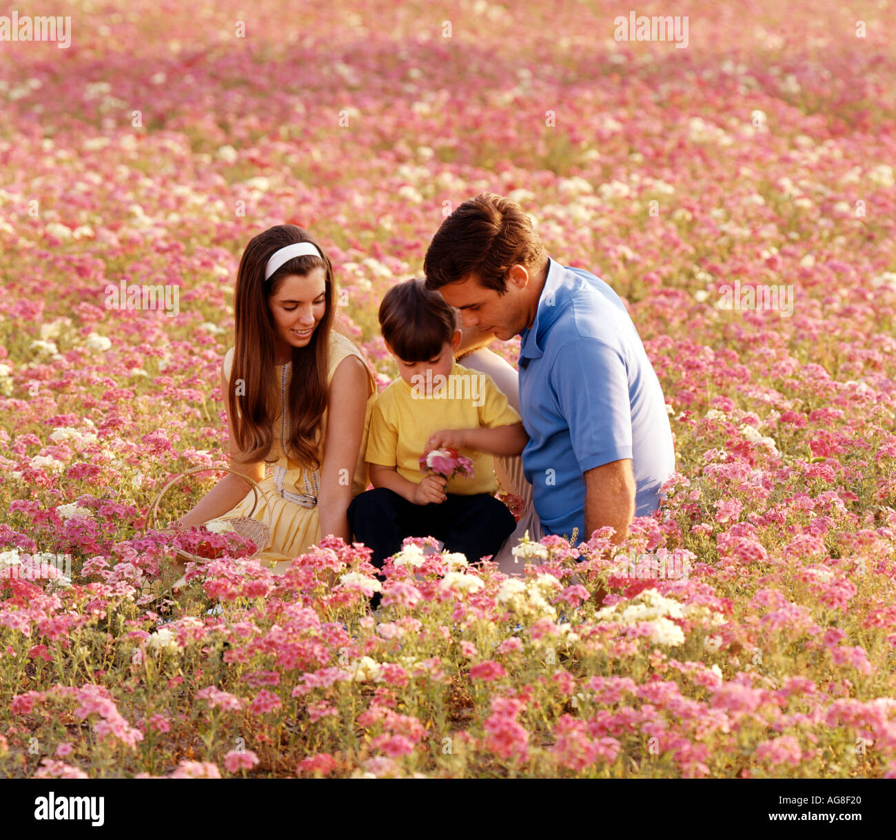 couple and child relaxing in bed of tiny flowers Stock Photo - Alamy