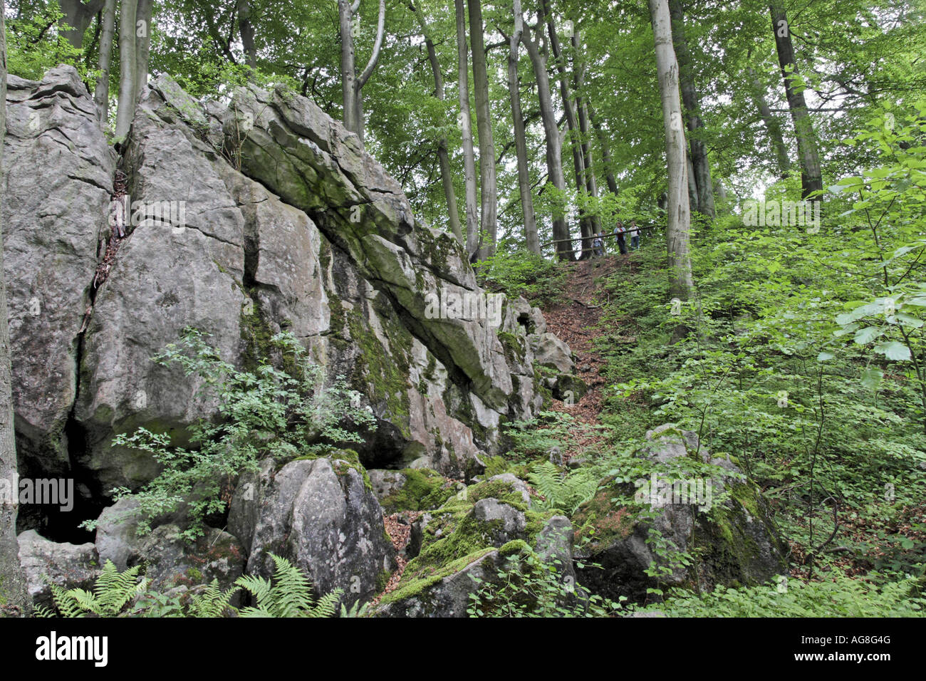 nature reserve Felsenmeer near Hemer, Germany, North Rhine-Westphalia ...