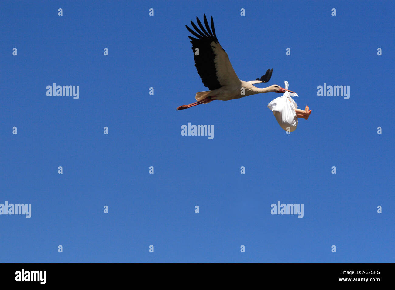 Stork carrying baby hi-res stock photography and images - Alamy