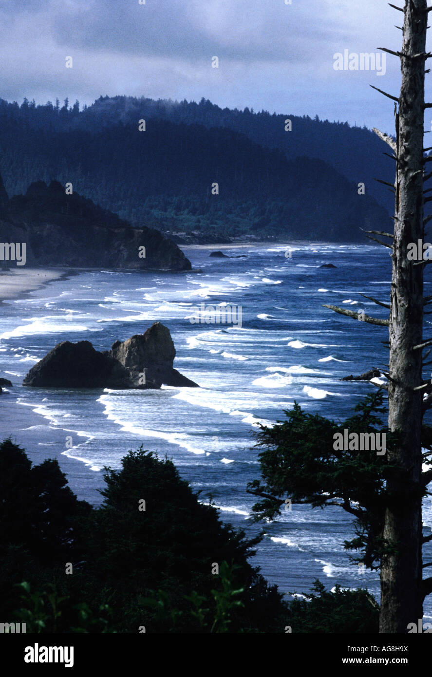 Oregon coast line at dawn Stock Photo - Alamy