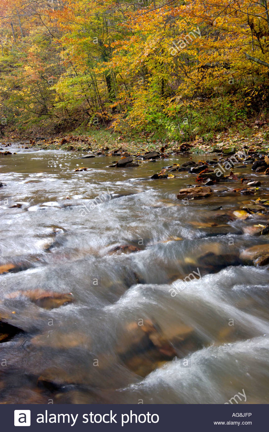 Bernheim Stock Photos & Bernheim Stock Images - Alamy