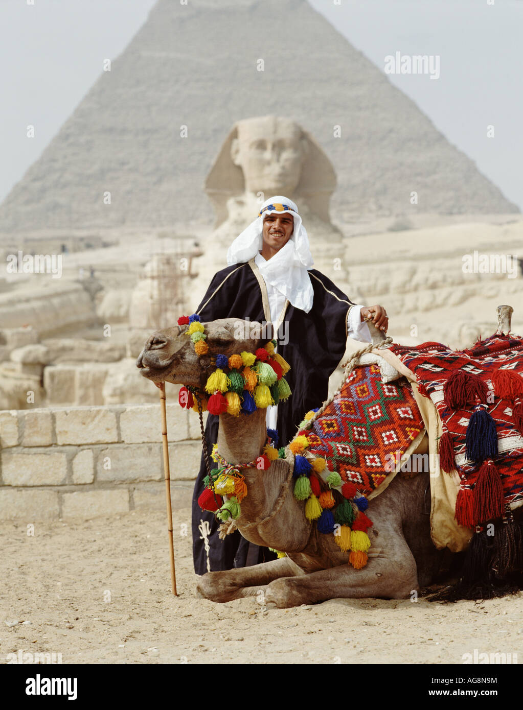 Camel resting egypt hi-res stock photography and images - Alamy