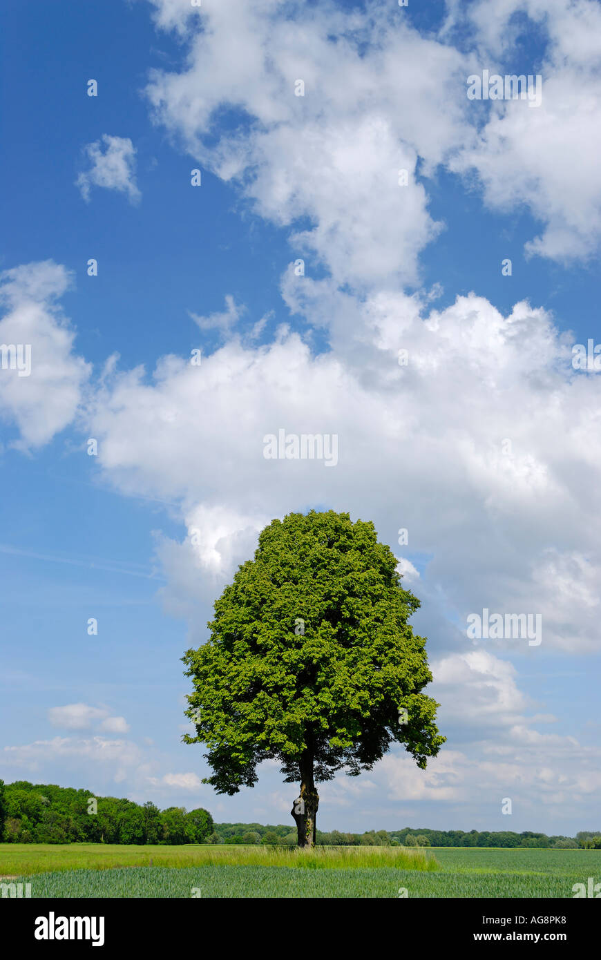 Blindheim river hi-res stock photography and images - Alamy