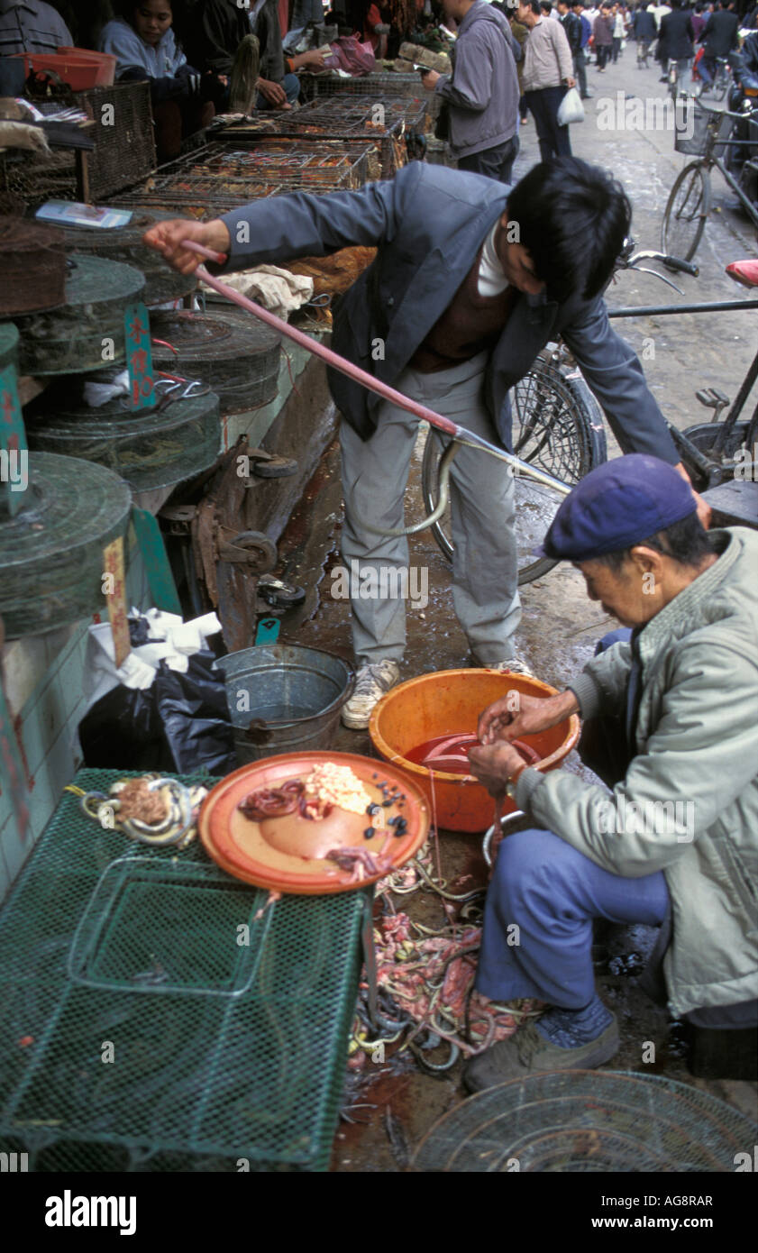 China Guangzhou Snakes for sale at market Stock Photo - Alamy