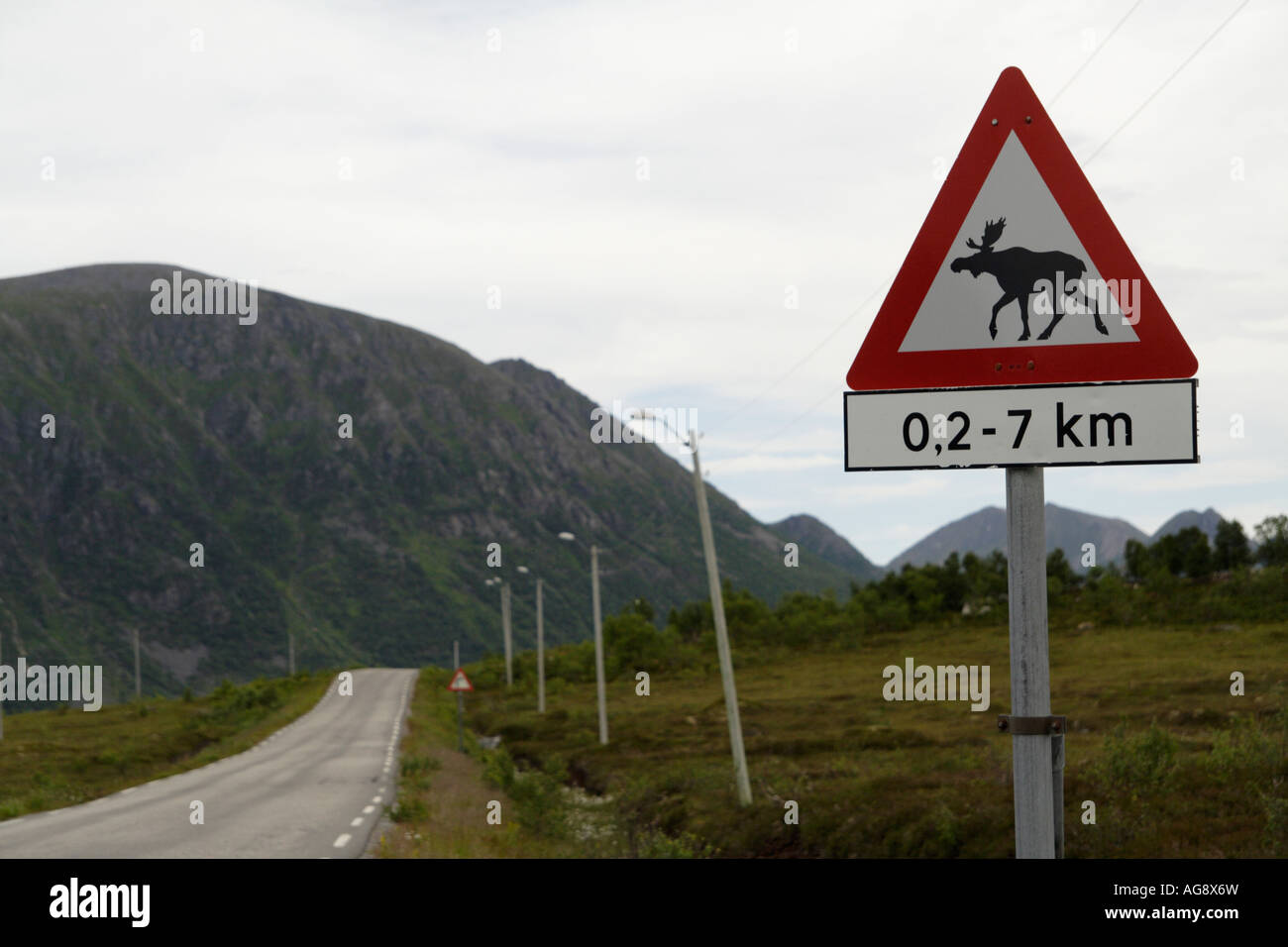 Reindeer road sign, Lofoten, Norway Stock Photo - Alamy