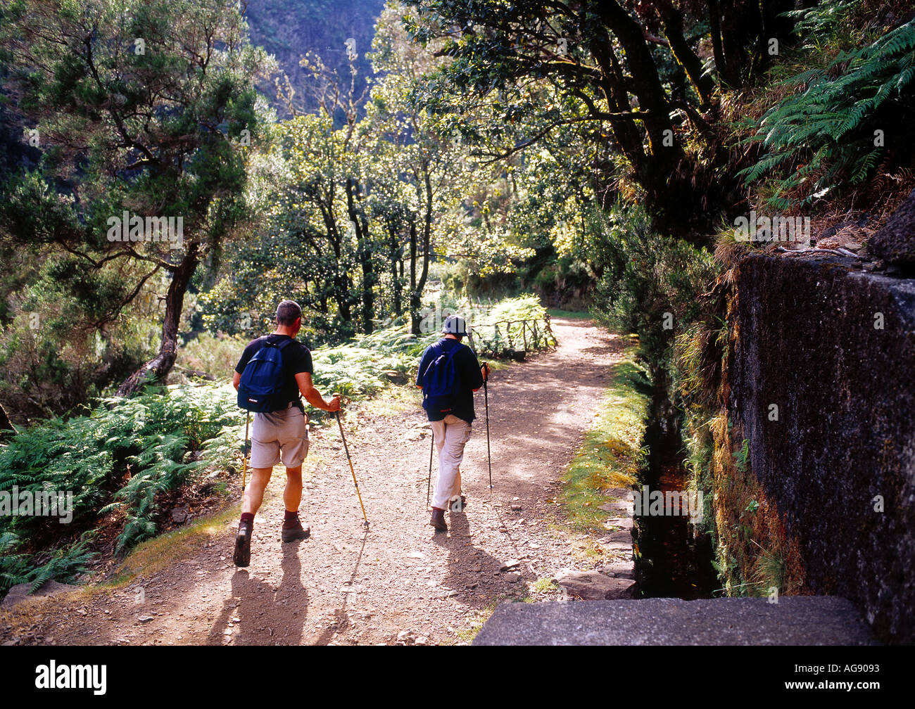 Madeira levada walks hi-res stock photography and images - Alamy