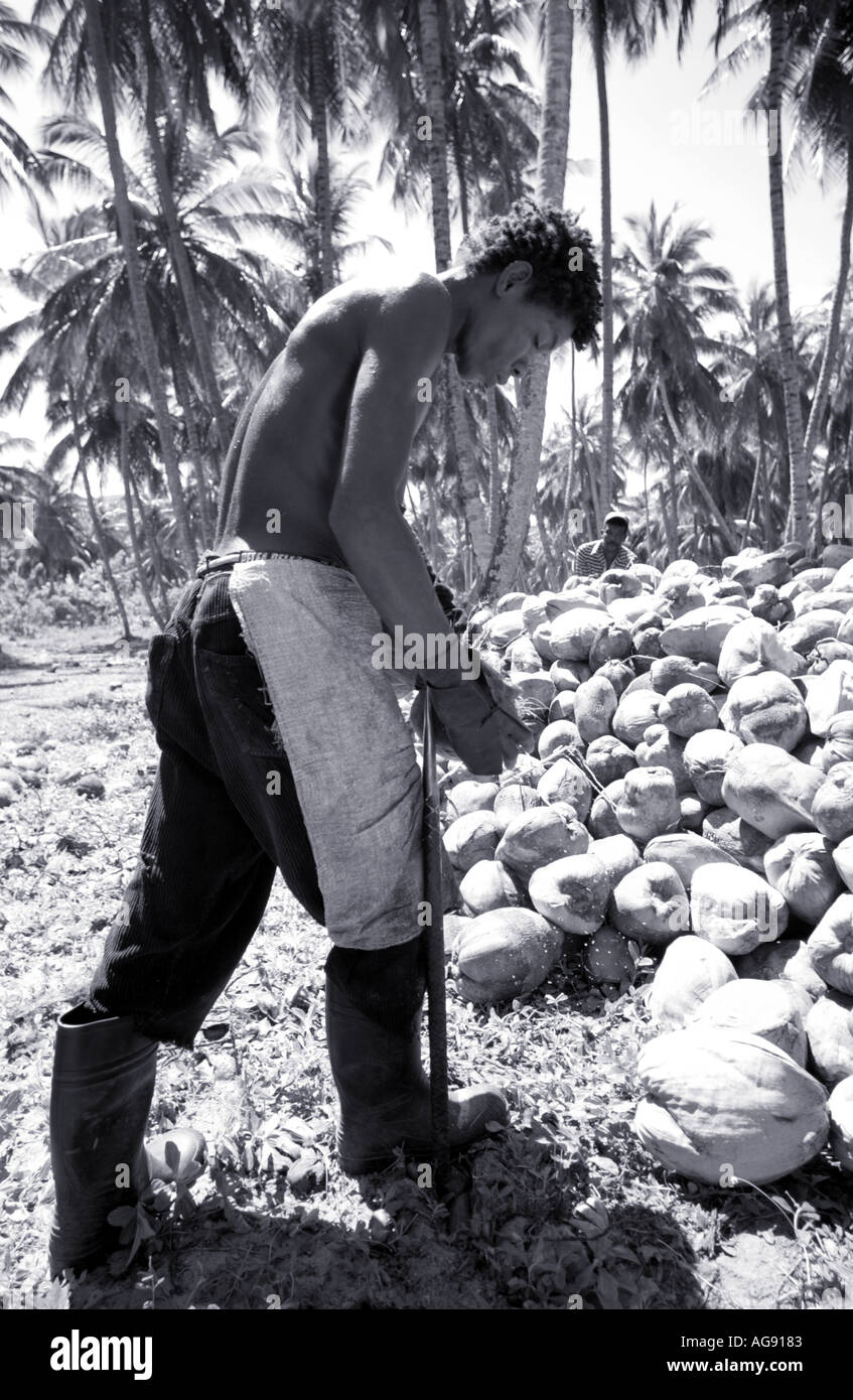 Sheller hi-res stock photography and images - Alamy