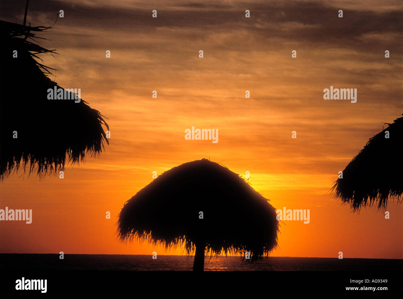Thatched palapas on the beach Property released image Stock Photo - Alamy