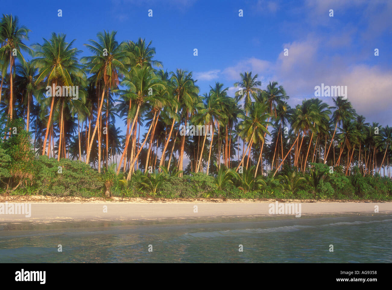 Paradise perfect beach palmtrees hi-res stock photography and images ...