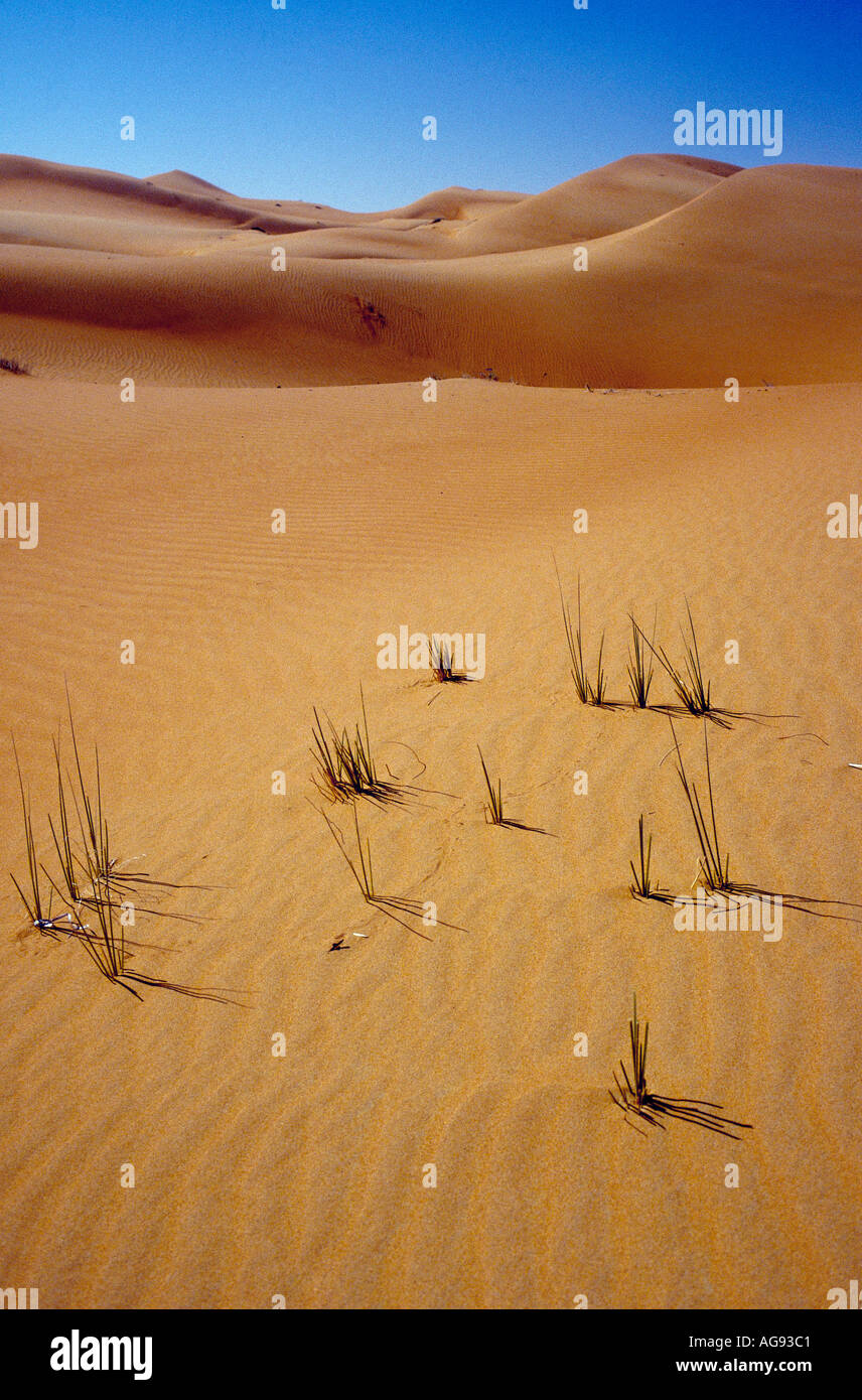 DESERT UAE Middle East Stock Photo - Alamy