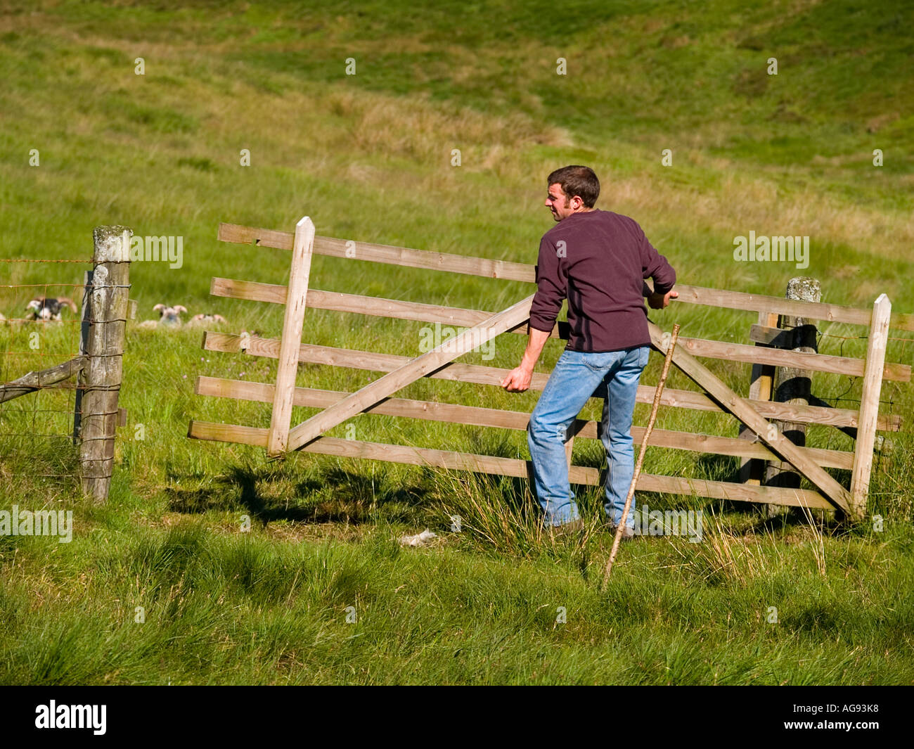 Farmer gate man hi-res stock photography and images - Alamy