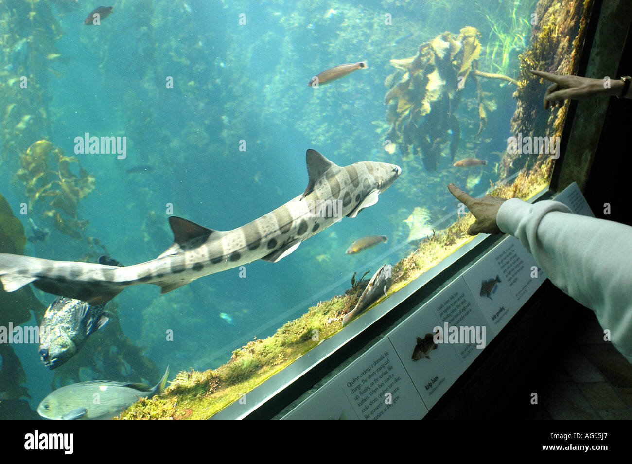 This summer is your last chance ever to see some pretty slippery ...