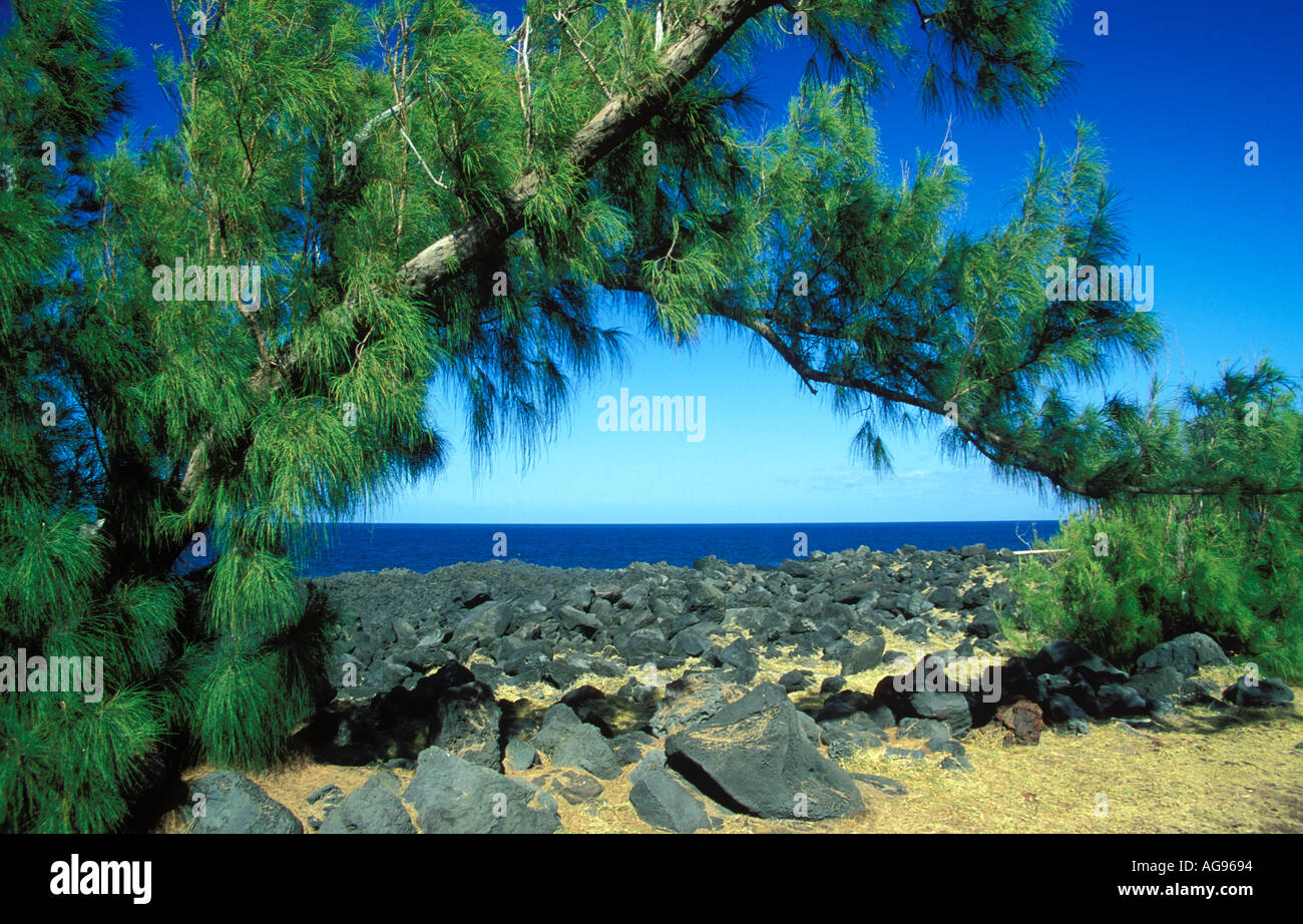 Filaos hi-res stock photography and images - Alamy