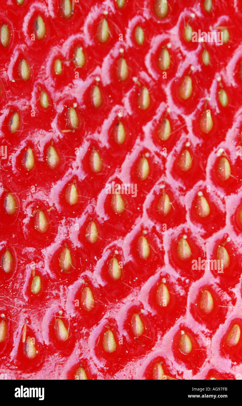 Fruit patterns hi-res stock photography and images - Alamy