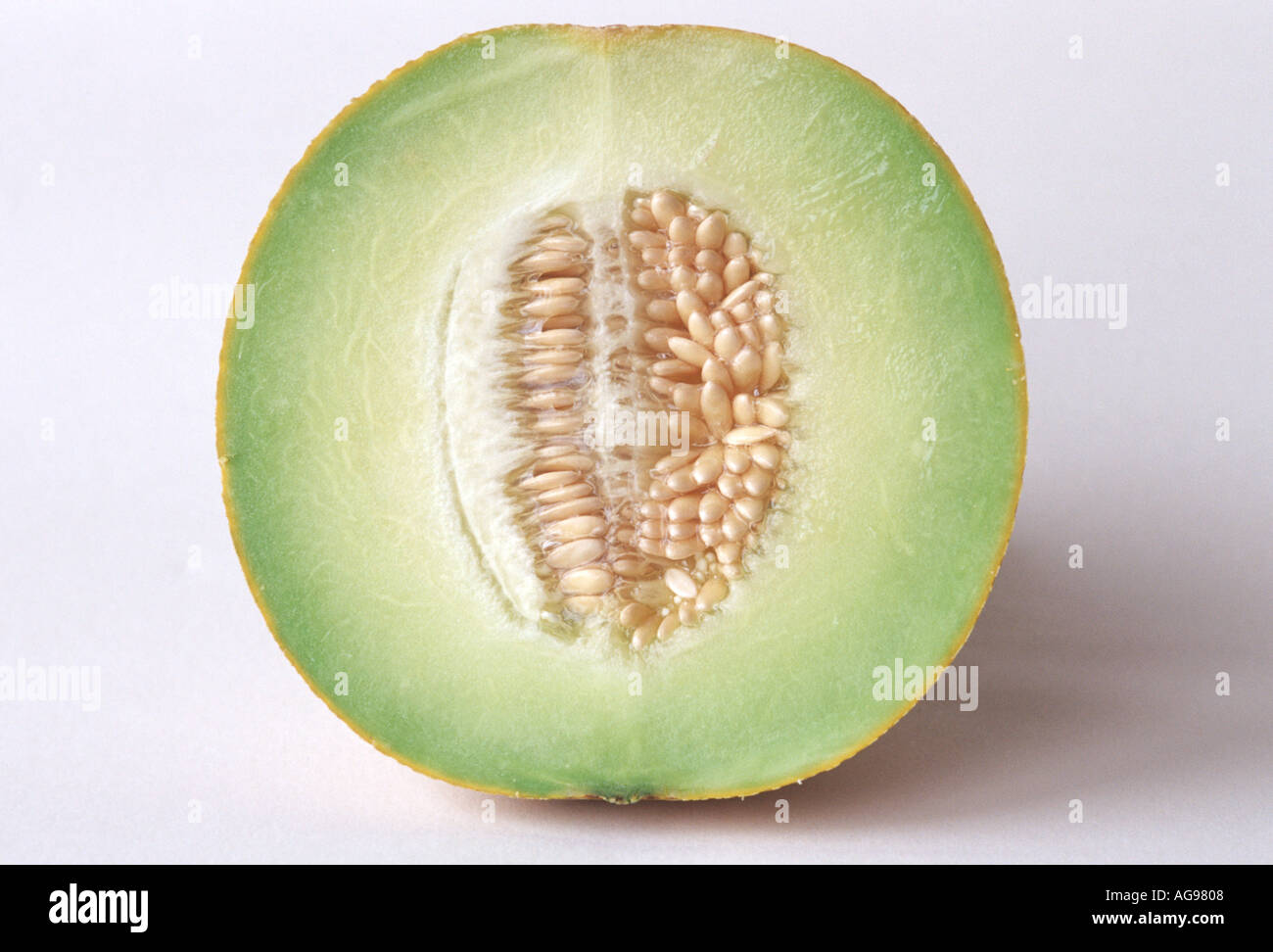 Melon plants hi-res stock photography and images - Alamy