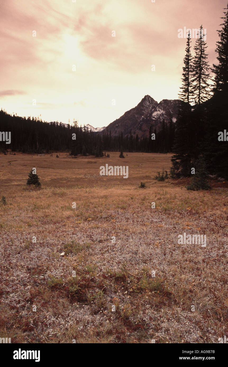 alpine Meadow cascade loop highway Washington Stock Photo - Alamy