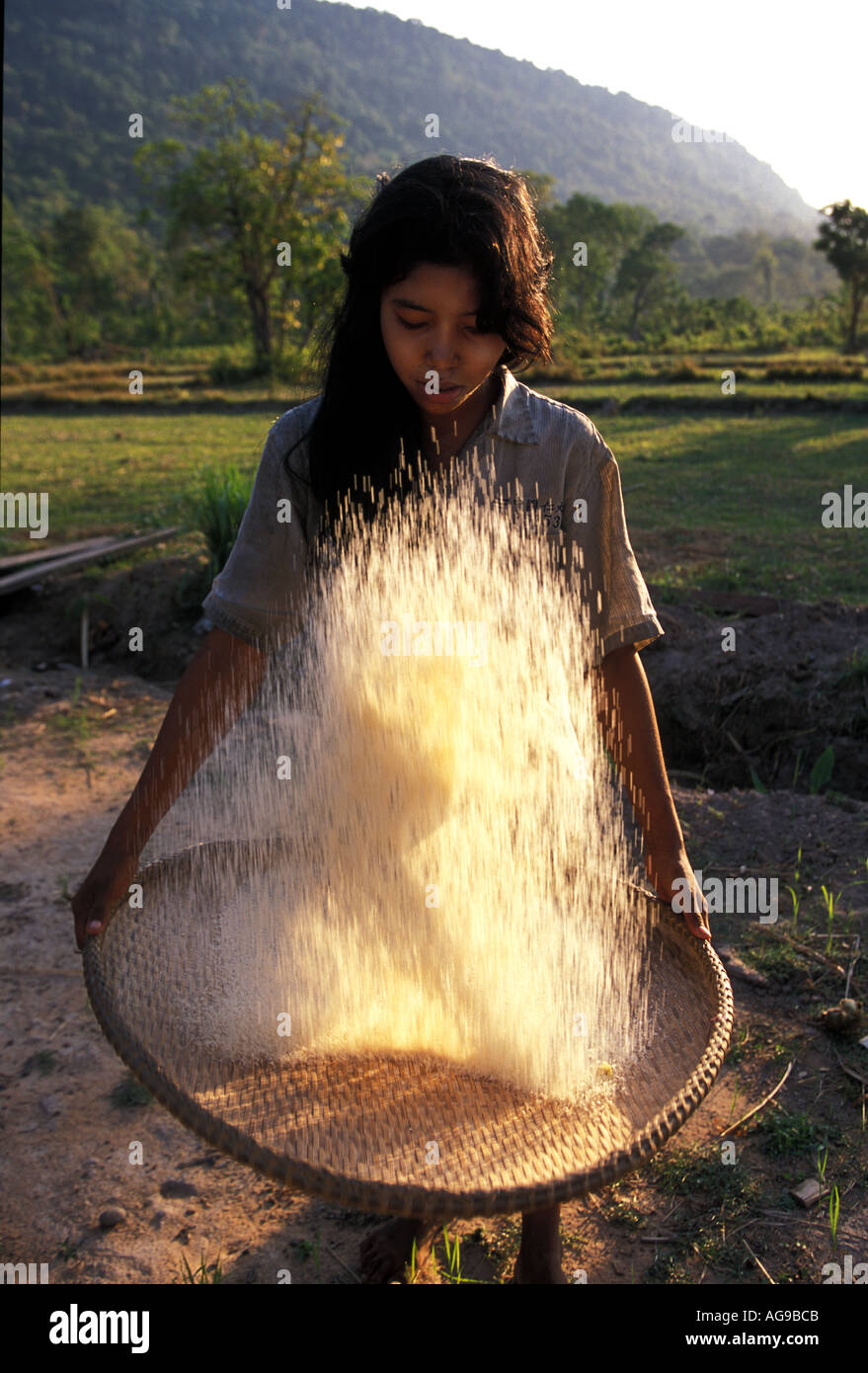 Winnowi hi-res stock photography and images - Alamy