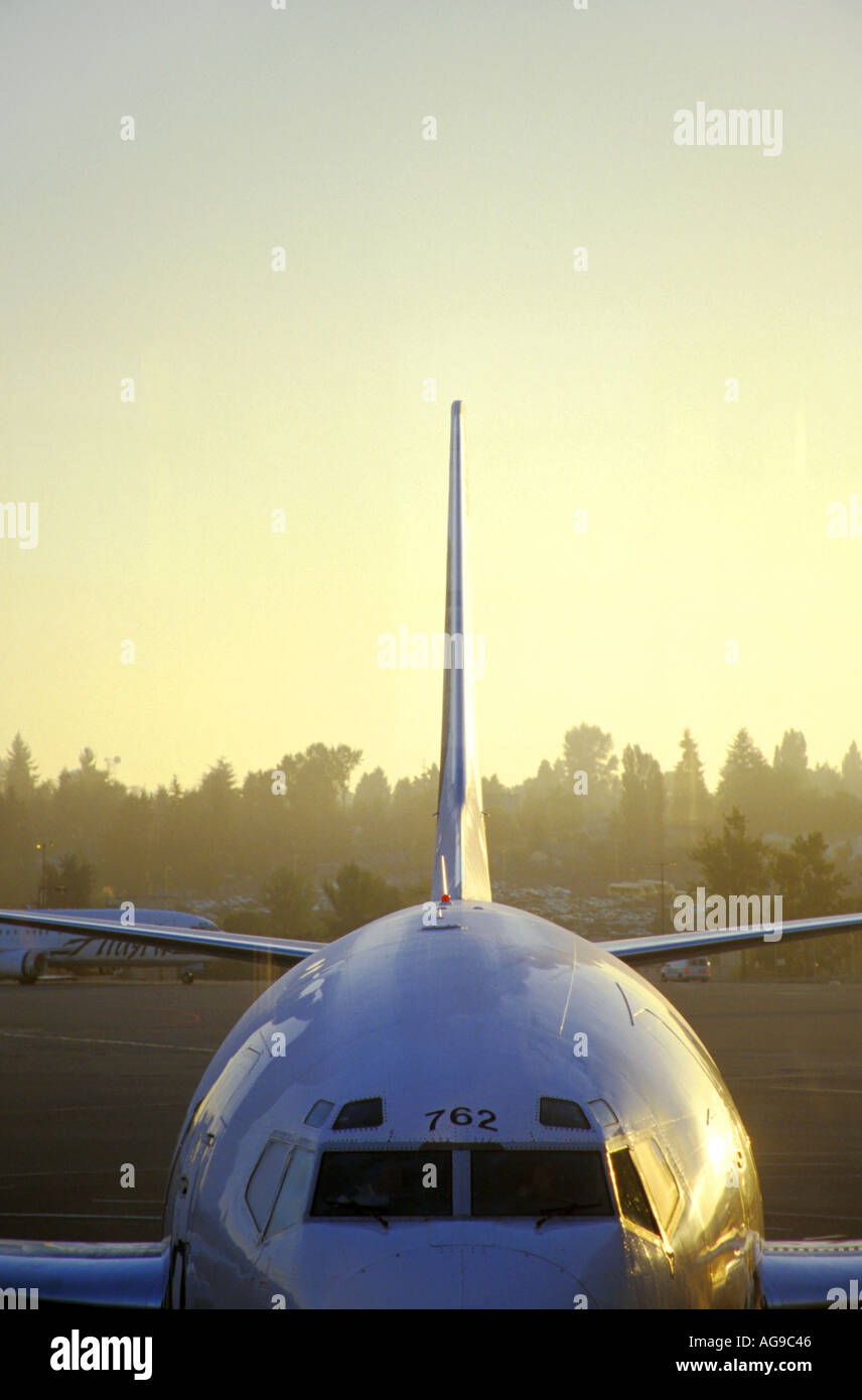 Aircraft Tail Search