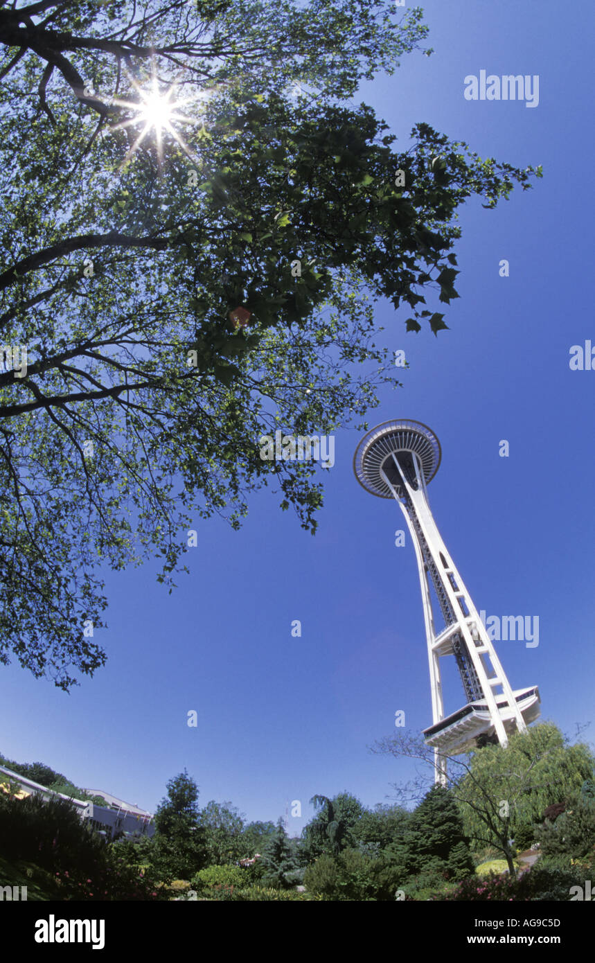 Space needle through tree hi-res stock photography and images - Alamy